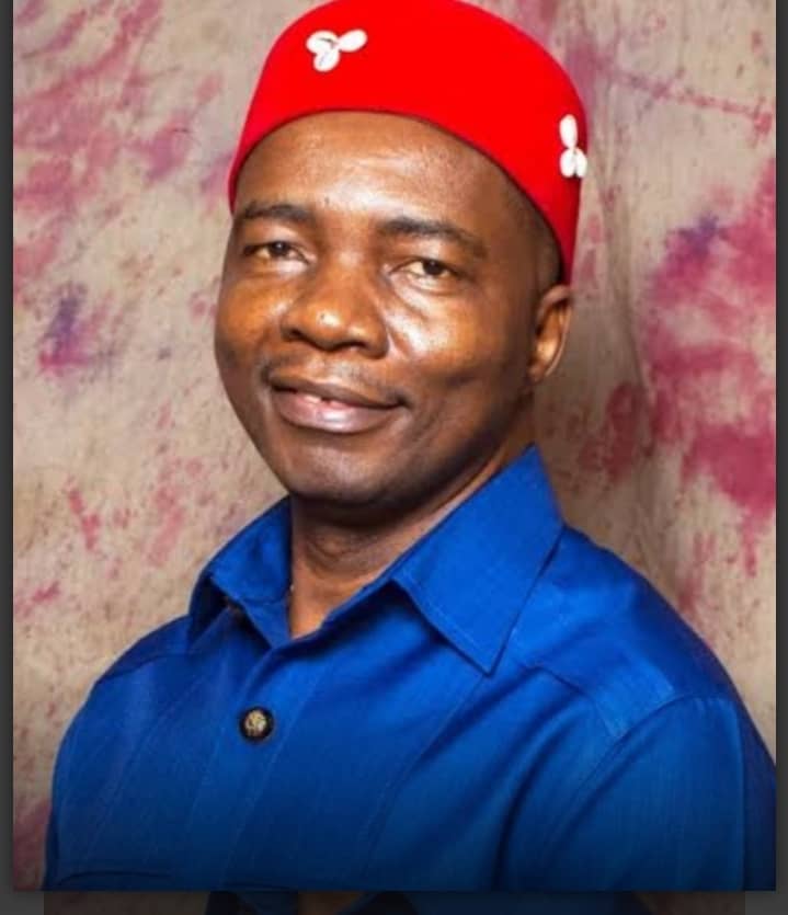 Senate By-Election: Sea Horse CEO,Ebuka Onunkwo, Gets Endorsement To ...